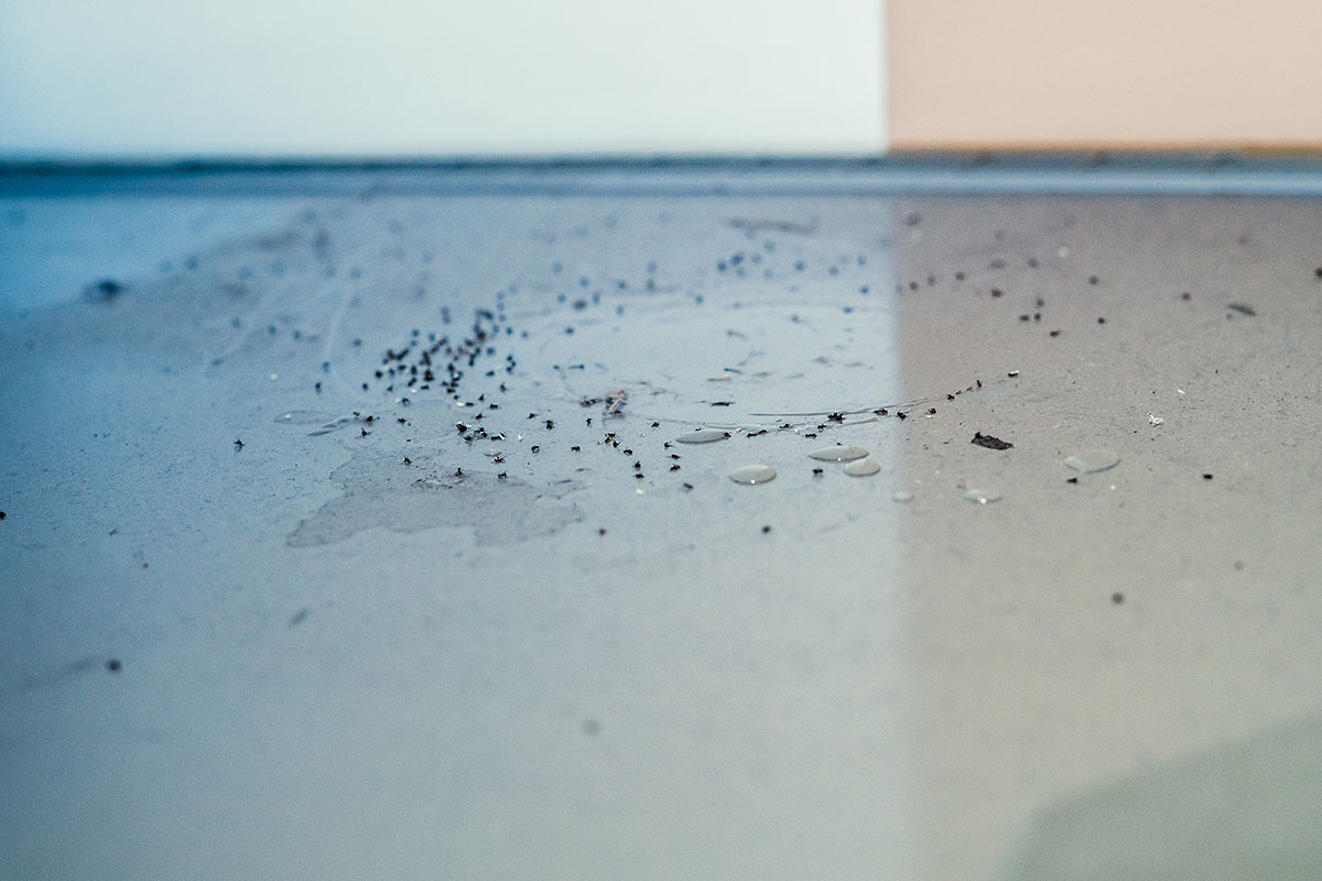 6 Serious Problems From Not Cleaning Gutters | PorterVac