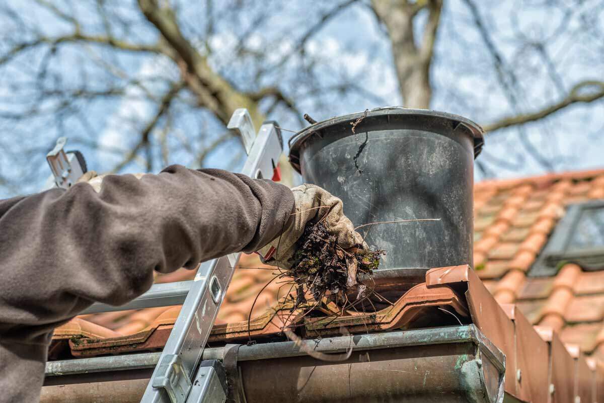 Gutter Cleaning - Everything You Need to Know | PorterVac