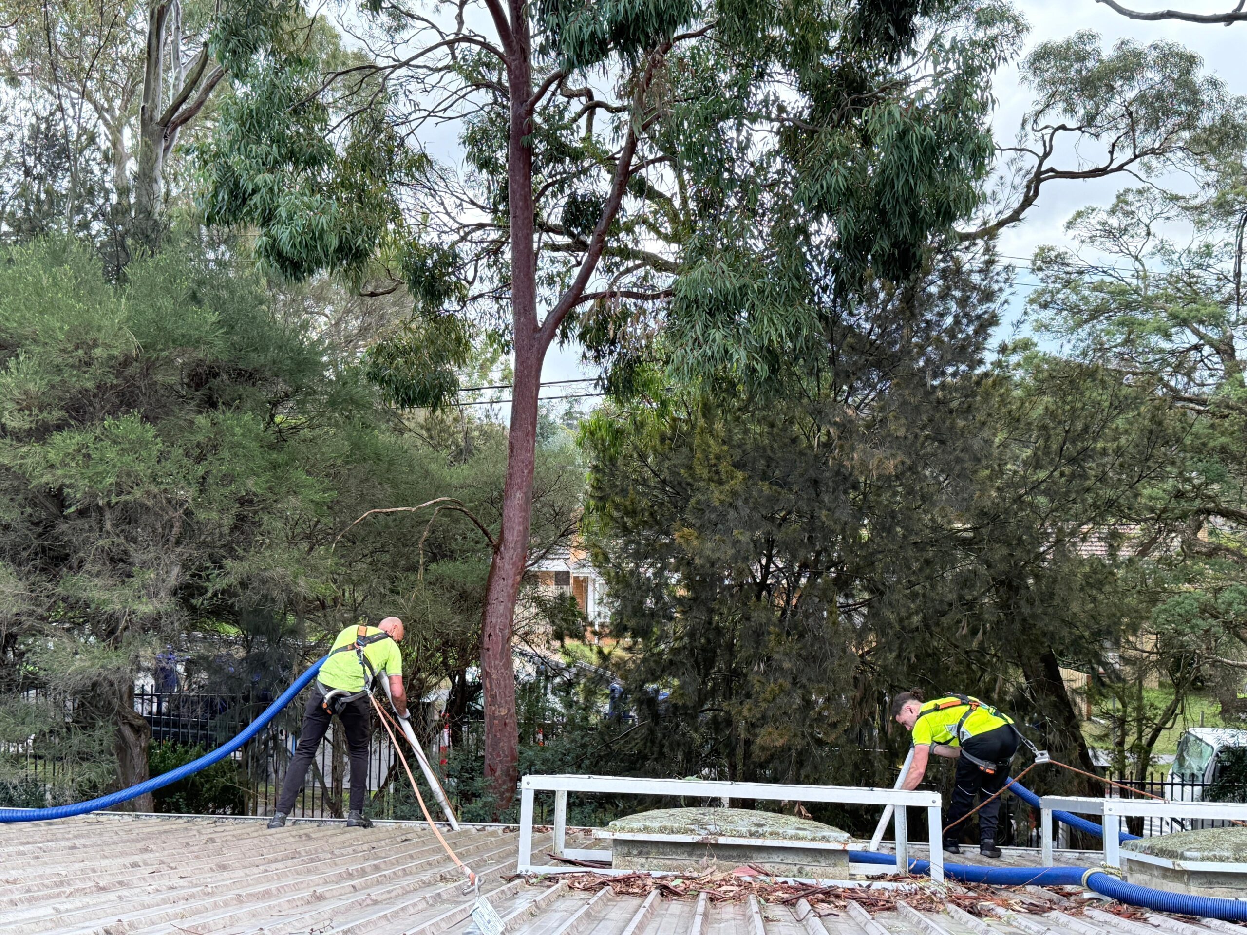 Why Gutter Maintenance is Essential for Schools - PorterVac