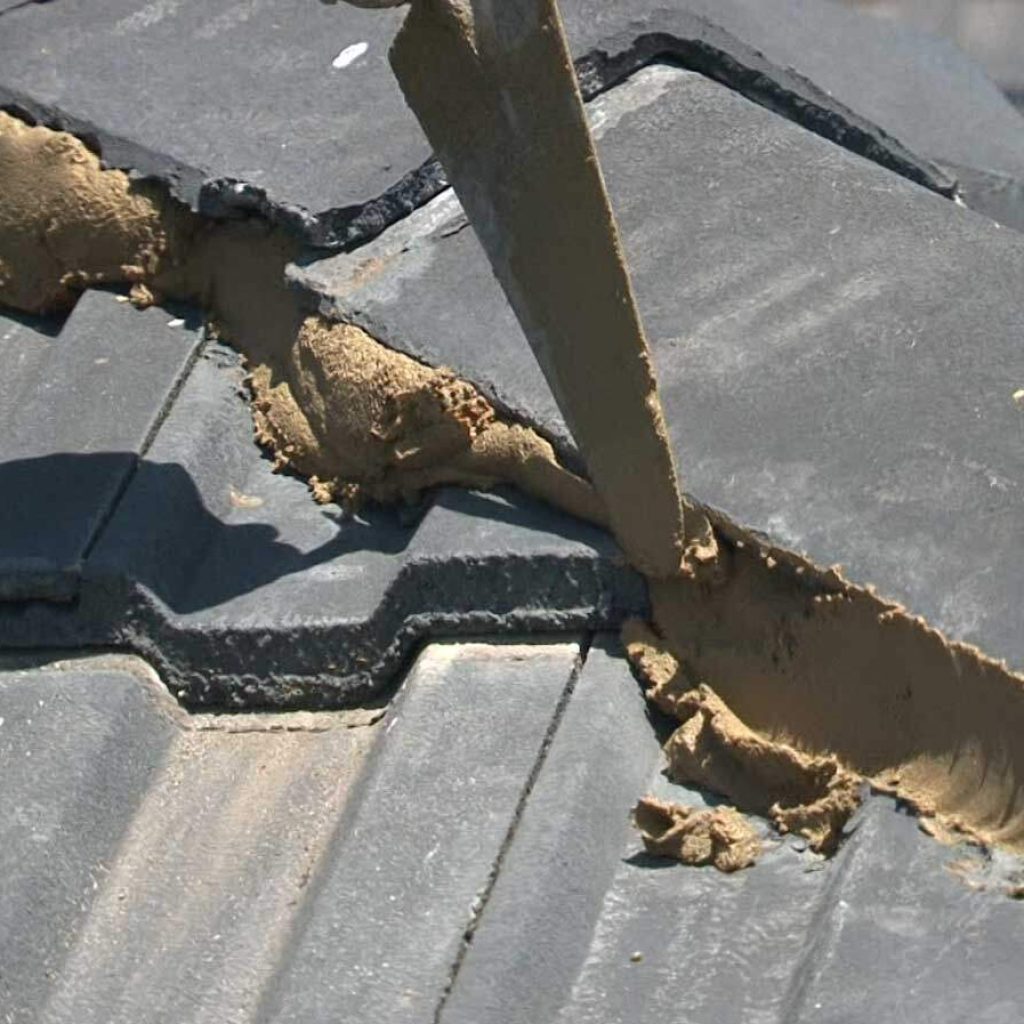Roof Leak Repairs, Tile & Flashing Repair Services | PorterVac